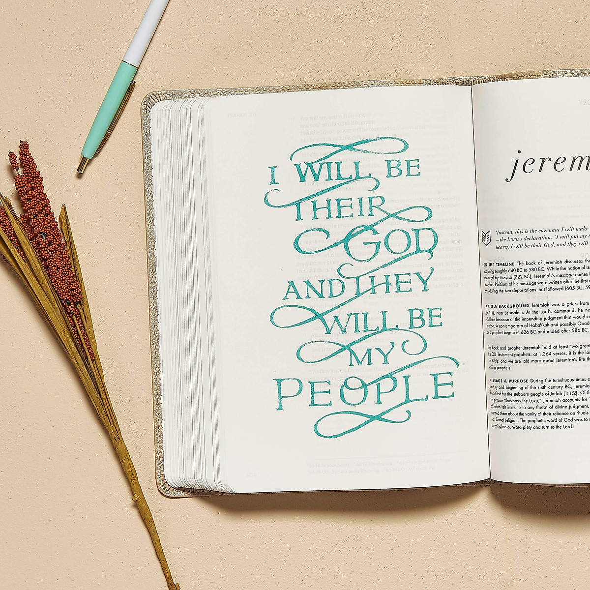 CSB She Reads Truth Bible, Champagne Gold LeatherTouch, Black Letter, Full-Color Design, Wide Margins, Journaling Space, Devotionals, Reading Plans, Single-Column, Easy-to-Read Bible Serif Type