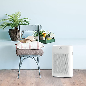 Airthereal True HEPA Filter Replacement for Pure Morning APH230C Air Purifier - 3 Filtration Stage True HEPA Technology - Eliminates Pollen, Dust, Fire Smoke, Pet Dander (1-Pack)