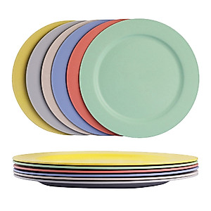 greenandlife 10inch/6pcs Dishwasher & Microwave Safe Wheat Straw Plates - Lightweight Reusable Unbreakable Dinner Plates, Non-toxin, BPA Free and Healthy for Kids & Adults