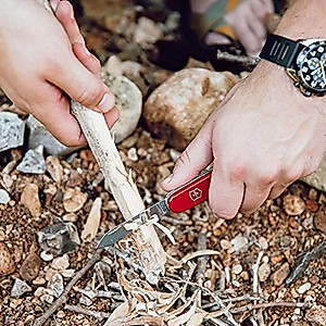 Victorinox Small Toothpick