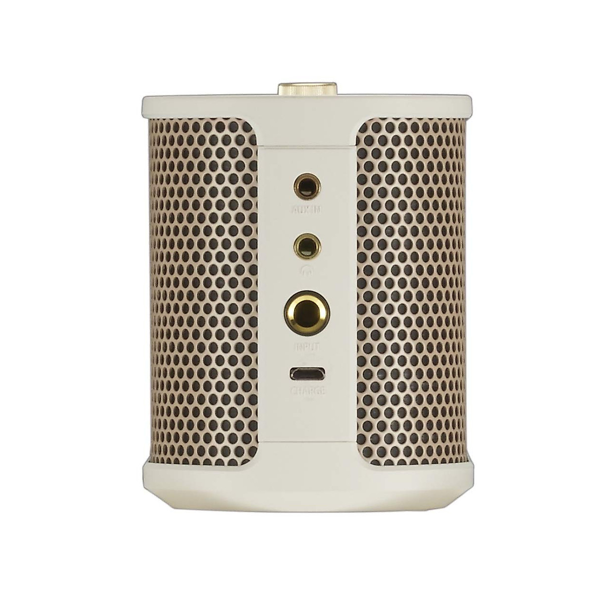 Roland BTM-1 Bluetooth Speaker with Guitar Input