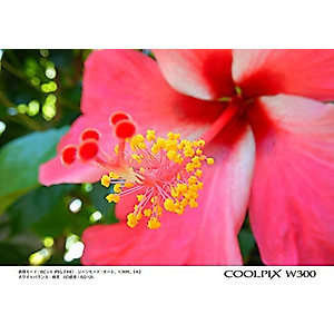 Nikon Digital Camera COOLPIX W300 COOLPIX Camouflage Waterproof Camera