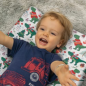 ALVABABY Christmas Gift Stretchy Jersey Changing Pad Covers 2 Pack Bassinet Sheet Soft and Light Baby Cradle Mattress for Boys and Girls 2CZE09