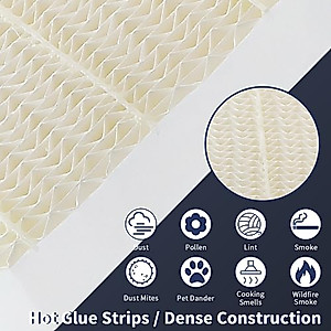 Funmit 1043 Super Humidifier Wick Filter (2 Pack) Replacement for Essick Air AIRCARE EP9500, EP9700, EP9800, EP9R500, EP9R800, 821000, 826000, 826800, 831000 Bemis Space Saver 800 8000 Humidifiers