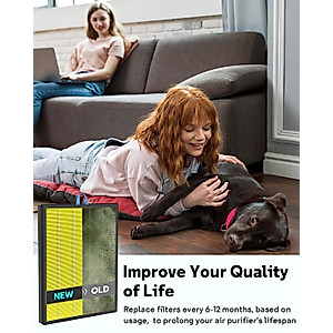 Leemone 2 Pack Vital 200S-P Pet Allergy Replacement Filter Compatible with LEVOIT Vital 200S Air Purifier, 3-in-1 H13 True HEPA Activated Carbon Filter, Vital 200S-RF-PA (LRF-V201-YUS), Yellow