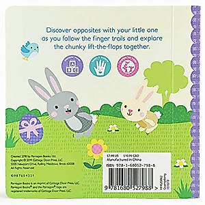 Big Egg, Small Egg - Lift-a-Flap Board Book, Gifts for Easter Baskets or Stuffers Ages 1-4