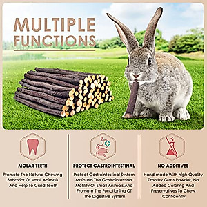 Bissap 120g/0.2lb Apple Sticks for Rabbits, Natural Bunny Chew Toys and Treats for Chinchilla Guinea Pig Hamster Gerbil Small Animals Pet Apple Wood Stick Toys Teeth Grinding