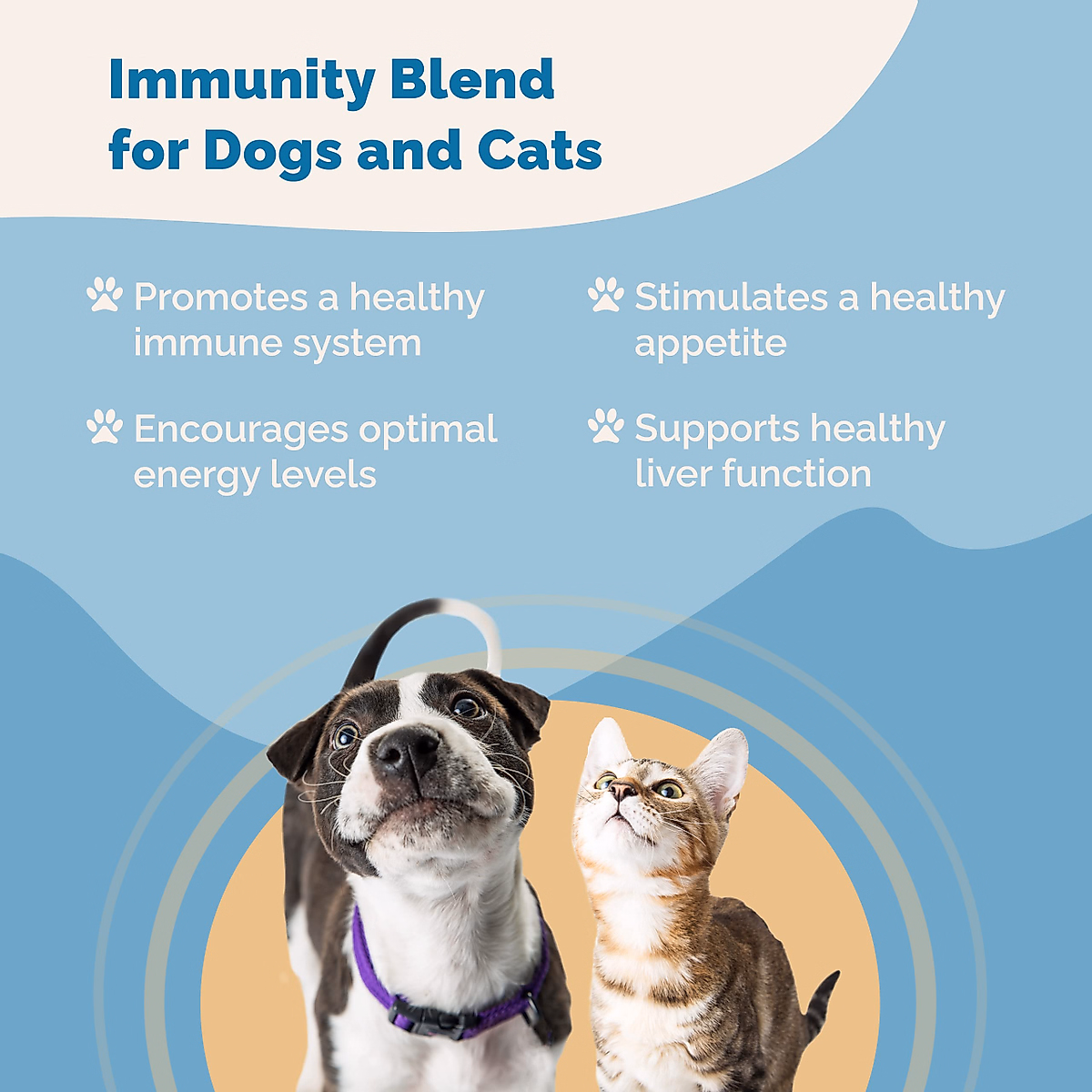 Kidney Immunity Regimen | Kidney Health Support & Immunity Blend Supplements for Cats and Dogs | Naturally Promotes Healthy Kidney Function in Dogs & Cats |