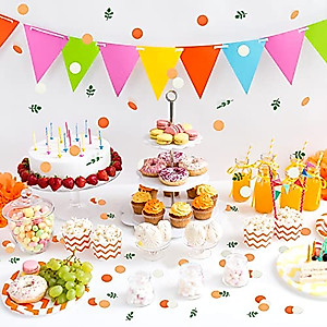Little Cutie Baby Shower Confetti Sprinkle Baby Shower Confetti with Eucalyptus Decorations Hey Cutie Citrus Tangerine Themed Table Scatter Confetti for Baby Shower Supplies (200 Pcs,Orange Series)