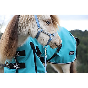 Star Point Horsemanship Mini-Pony Horse Ripstop Waterproof Windproof Blanket Hooded Lightweight Turnout Rain Sheet Breathable Lining 1200 Denier Material 100 Gram Fill (Raspberry, 52-54")
