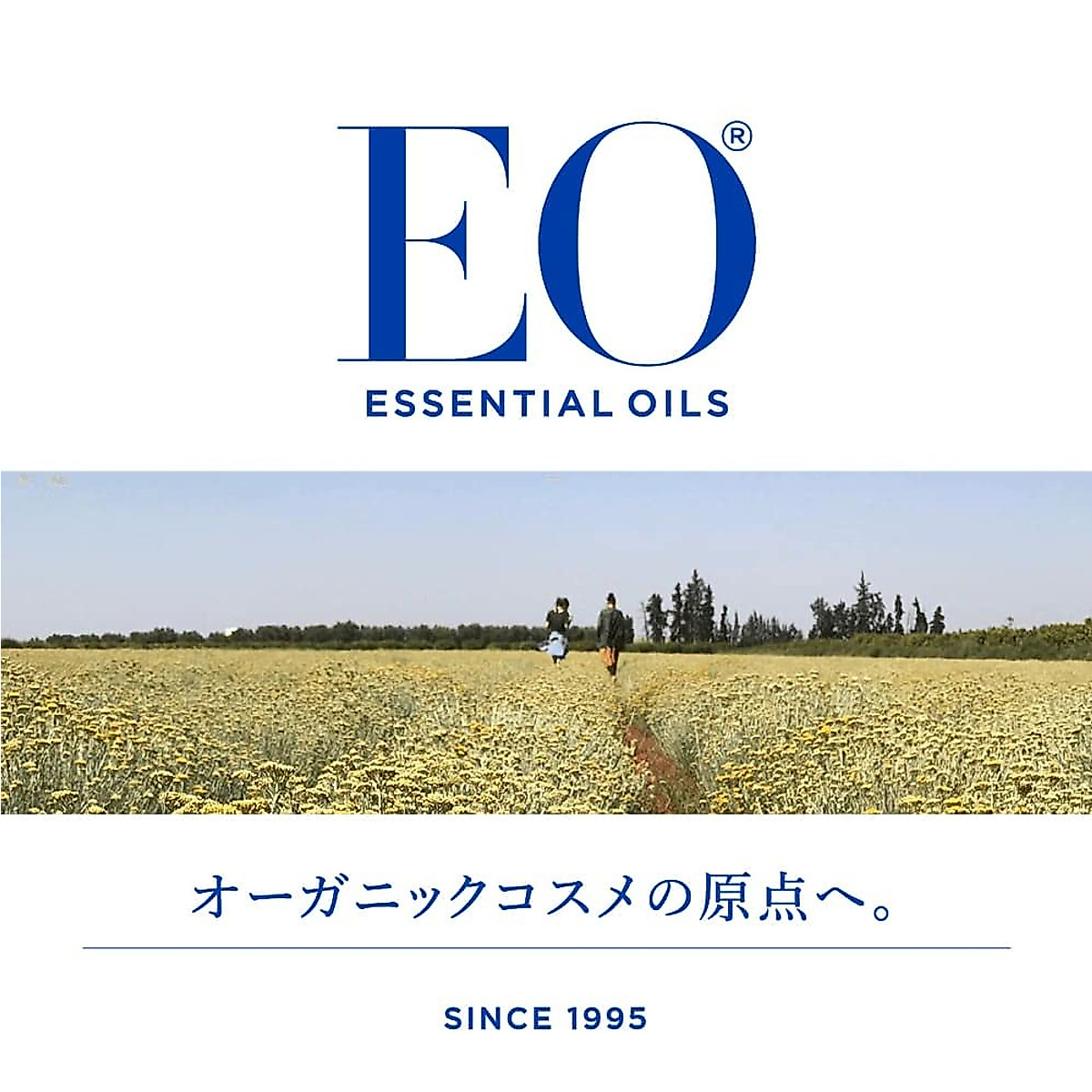 EO Body Oil: Massage and Moisturize, French Lavender, 8 Ounce