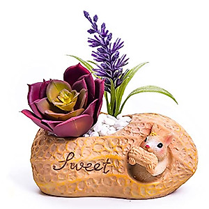 Cute Little Squirrel Flowerpot with Drainer Garden Flowerpot Resin Succulent Potted Bonsai Plant Stand Home Desk Mini Ornaments Cartoon Ornaments Does Not Contain Plants
