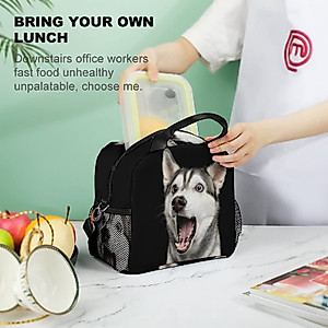 Lunch Box Women Boys Girls Funny Husky Dog Lunch Bag Insulated Thermos Tote with Water Bottle Holder & Removable Shoulder Strap for Back to School Travel Work