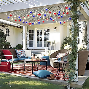 25Ft G40 Outdoor Clear Globe String Lights, Connectable Waterproof Edison String Lights for Outside Backyard Wedding Patio Bistro Party Decoration, 5W, E12 Base, Black Wire