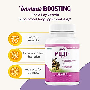 Health Extension Lifetime Multivitamin and Minerals for Dogs & Puppies, Supplements for Immune System, Digestion, Joint Support, Coat & Skin, Contains Vitamin A, D, E, K, B12, 60 Tablets
