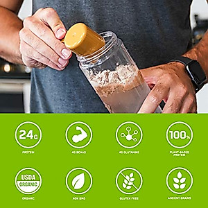 Optimum Nutrition Gold Standard 100% Plant Based Protein Powder, Vitamin C for Immune Support, Chocolate, 1.59 Pound