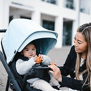 Thule Sleek Snack Tray