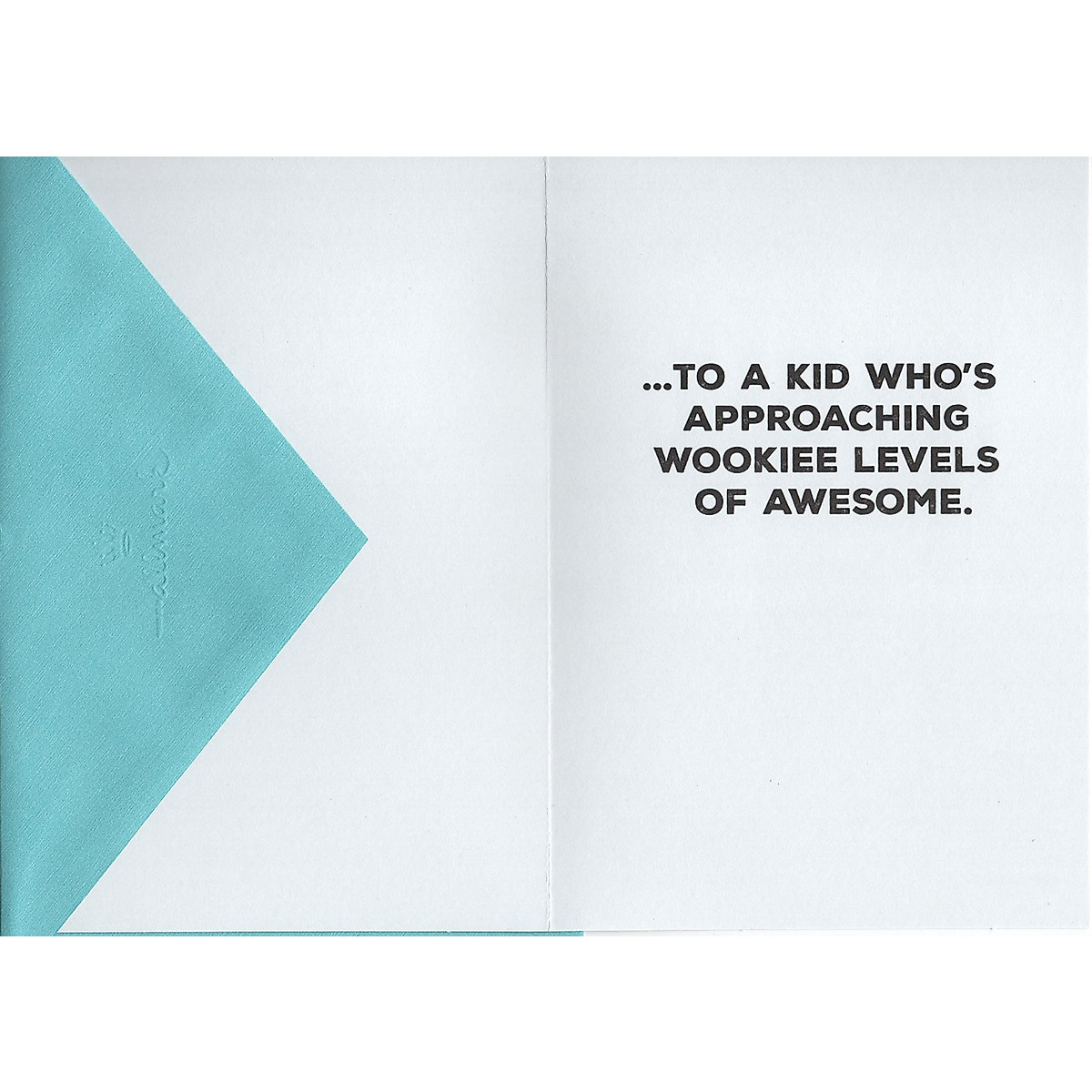 Expressions by Hallmark Star Wars Chewbacca Happy Birthday Card