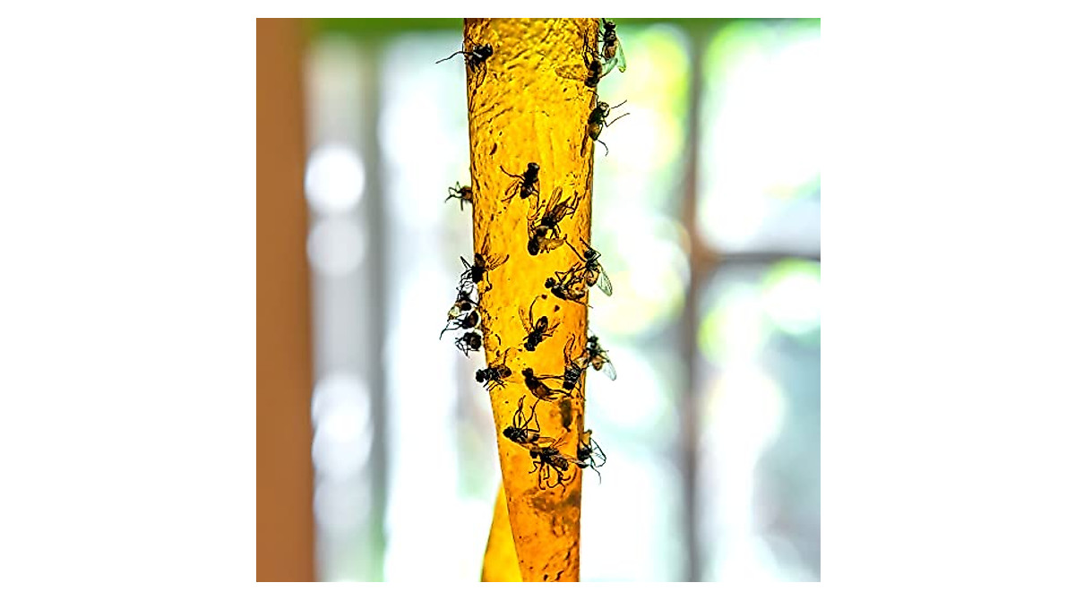 Raid Fly Ribbon Catcher Pack - Effective Fly Control (4 Pack)