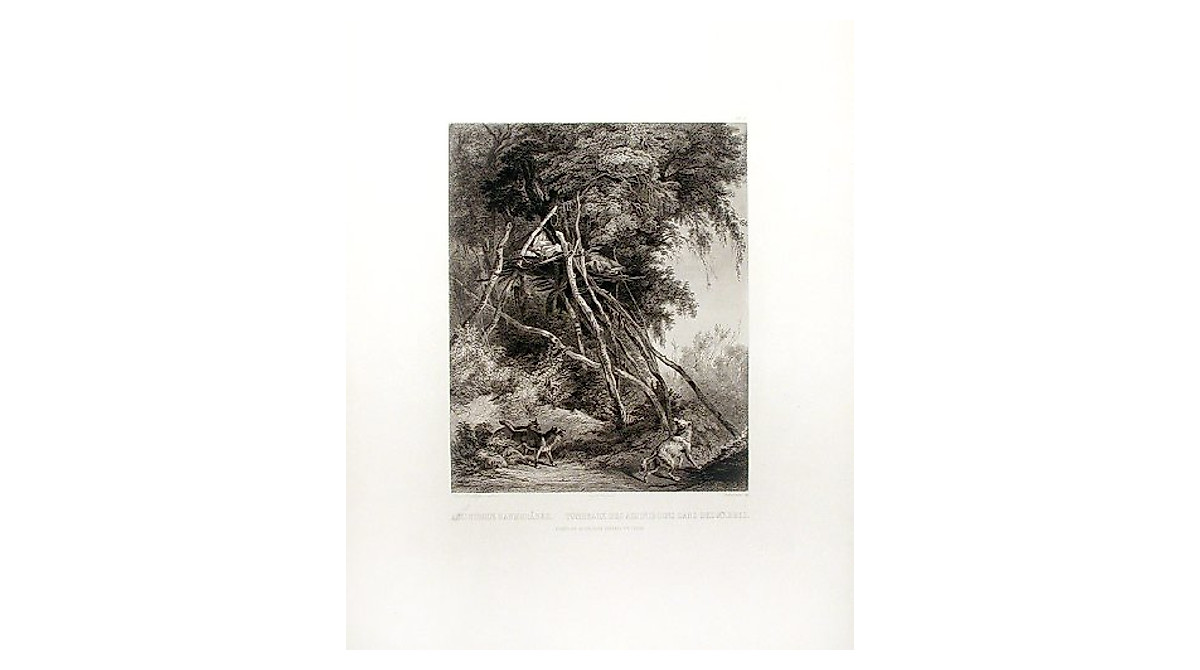 Tombs of Assiniboin Indians on Trees - Historic Karl Bodmer Aquatint