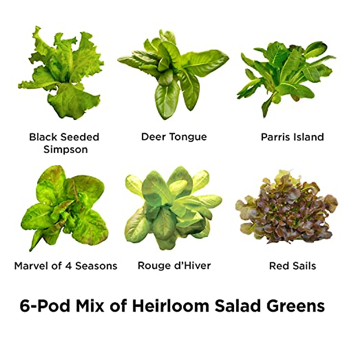 AeroGarden Heirloom Salad Greens Mix Seed Pod Kit - Salad Kit for AeroGarden Indoor Garden, 6-Pod