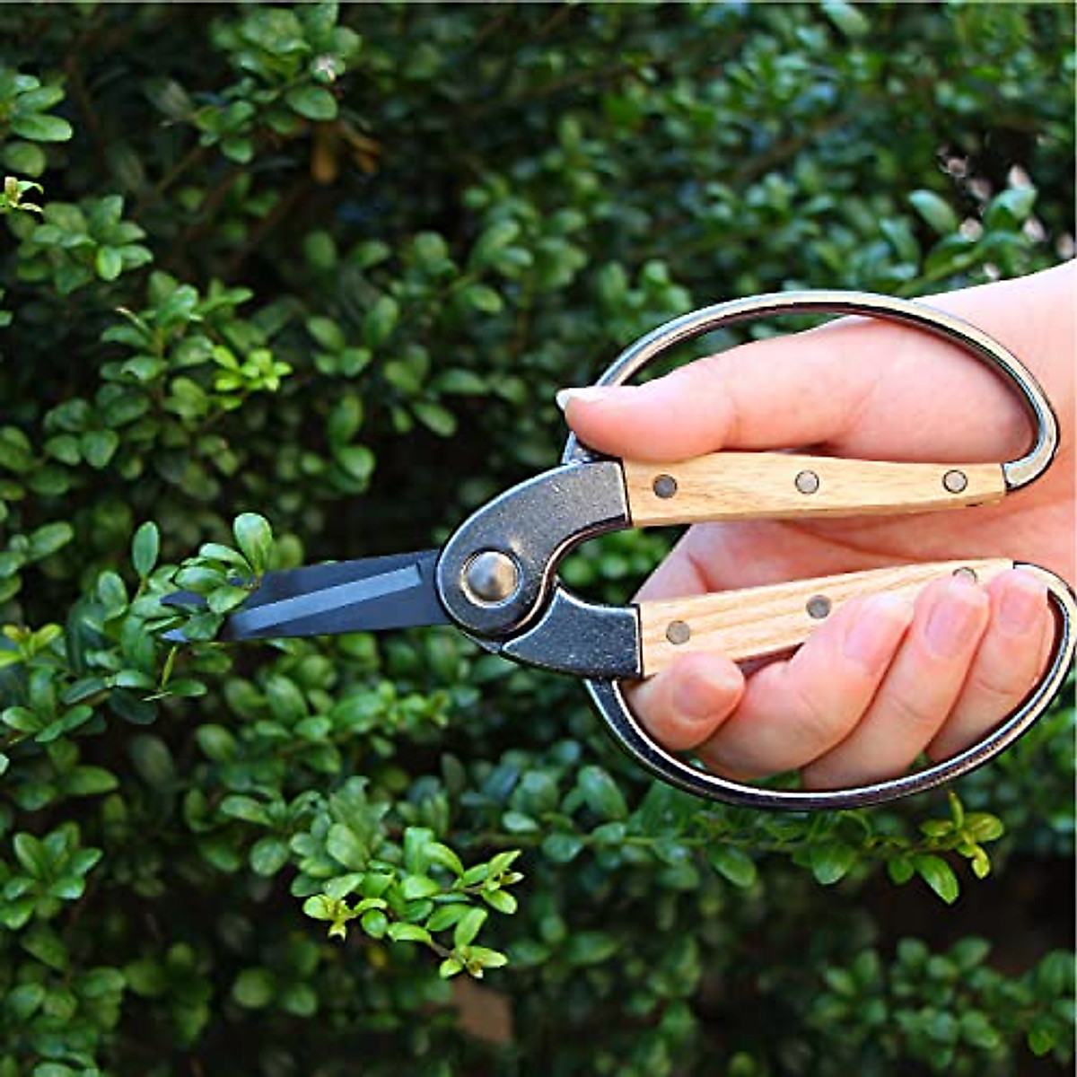 N&V Bonsai Scissors Set, 3 Pcs Set Including Bonsai Scissors, Mini Rake and Mini Shovel, For Arranging Flowers, Trimming Plants, For Grow Room or Gardening, Bonsai Tools.