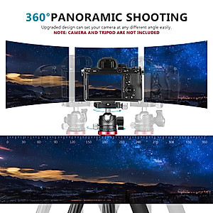 NEEWER Professional 28mm Low Profile Tripod Ball Head with 360° Rotation and 2 Locking Buttons, Arca Type 1/4" QR Plate and Spirit Level for Tripod/Camera, Max Load: 5 kg