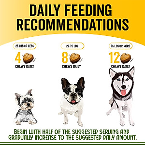 ZooChews Allergy Support Treats - Dog Allergy Relief Chews with Omega 3 Colostrum, Biotin - Supports Skin and Coat for Dogs and Seasonal Allergies - Dog Vitamins for Immune Support (Duck, 180 Chews)