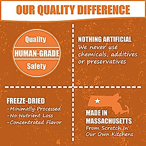 Whole Life Pet Living Treats for Cats – Healthy Gut with Chicken and Yogurt – Human Grade, Probiotics, Easy Digestion, Sensitive Stomachs - Made in The USA