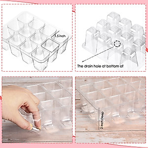 20 Set Seed Starter Tray Seed Starter Kit with Humidity Dome 240 Cells Total Plant Germination Trays with Drain Hole Reusable Propagation Tray Base Mini Greenhouse for Seedling Starting Growing