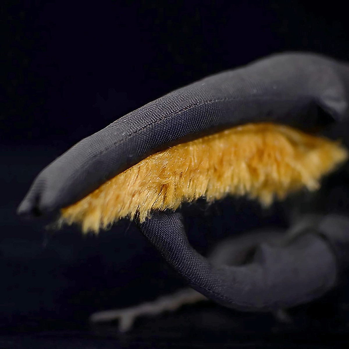 Nohito 9.8'' Realistic Insect Plush Toy Soft Stuffed Animal Simulation Bug Pillow Horned Hercules Coleoptera Insect Isopod Toys Doll (9.8'', Black and Yellow)