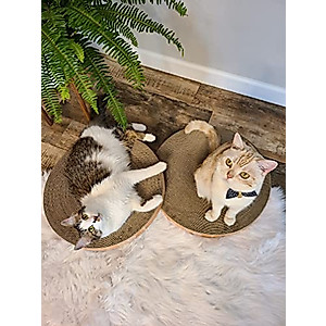 Cozy Cat Scratcher Bowl Replacement Pad (2 Pack), 100% Recycled Paper, Chemical-Free Materials (Regular, Oak)