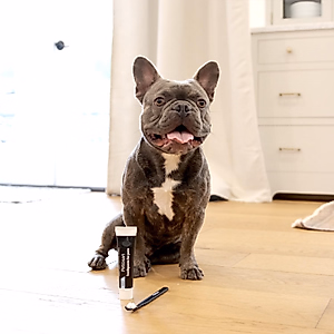 Petosan Puppy and Toy Breed Dental Kit for Dogs with Toothbrush and Toothpaste for Pets