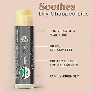 USDA Organic Peppermint Lip Balm - USA Made with Natural Ingredients, Chapstick for Dry Lips, Valentines Day Gifts, Birthday & Beauty Gifts for Women, Men, Teens & Kids, Lip Moisturizer