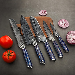 SANMUZUO Chef Cooking Knives Set- Kitchen Knife Set of 5 Piece - Ultra-Sharp VG10 Damascus Steel & Resin Handle - Xuan Series (Sapphire Blue)
