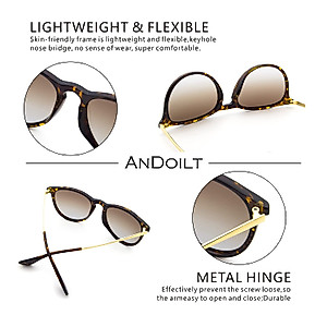 ANDOILT Vintage Polarized Sunglasses for Women Men UV Protection Retro Round Mirrored Lens Brown Gradient & Grey Gradient Lens