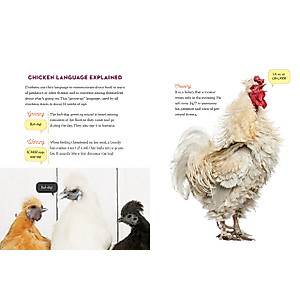 How to Speak Chicken: Why Your Chickens Do What They Do & Say What They Say