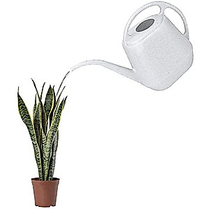 Fasmov Plastic Watering Can, 1-Gallon