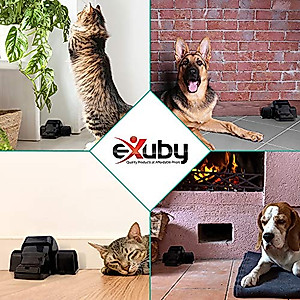 eXuby Pet-Safe & Child-Safe Rat Traps w/Tunnel Design (4-Pack) – Dual Entry for Better Capture Rate - No Harmful Poison - Prevents Accidental Triggering - Avoid Finger Snapping - Setup in Seconds.