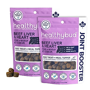 healthybud Hip and Joint Supplement Dog Treats - Glucosamine Soft Beef Liver Bites for Senior Dogs, Arthritis Support (4.6oz (2-Pack))