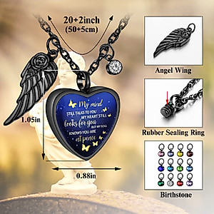 Dletay Heart Urn Necklace for Ashes Birthstones Cremation Jewelry for Ashes Butterflies Ash Necklace Memorial Ash Holder