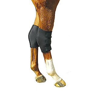 Intrepid International Hock Sweat Boot
