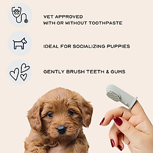 pupwell Puppy Breath Daily Dog Finger Toothbrush for Bad Breath, Removing Plaque and Tartar Buildup Made from Silicone (Slate Blue)