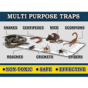 MaxGuard Glue Trap Strips (24 Traps) Non-Toxic Extra Sticky Glue Board Pre-Baited with Fruity Scent Attractant Trap & Kill Insects, Bugs, Spiders, Crickets, Scorpions, Cockroaches, Centipedes, Mice