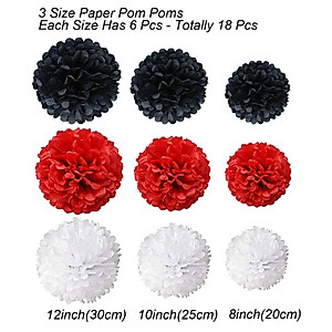 Recosis Hanging Paper Fan Set, Tissue Paper Pom Poms Flower Fan and Honeycomb Balls for Birthday Baby Shower Wedding Festival Decorations - Red Black and White