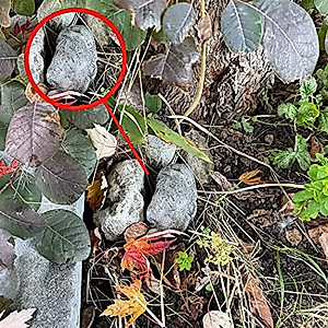 PANGAEA Key Hider Fake Rock, Weatherproof and Safe for Spare Keys, Real Look and Feel Stone, Garden, Outdoor, Geocaching (Type-B Black, 1 Pack)