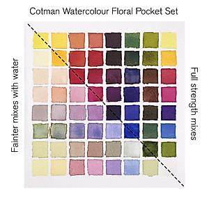 Winsor & Newton Cotman Watercolor Paint Set, 8 Half Pan, Floral Colors w/ Brush