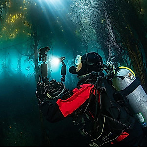 Light & Motion Sola Video PRO LE 3800 Flood Light, Black