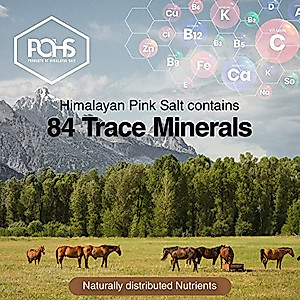 POHS Himalayan Rock Salt Lick 6 lbs Pack of 2 with Rope for Horse, Deer, Sheep, Cow, Goat, Livestock Animals - Original Himalayan Rock Salt Block