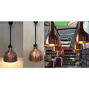 Food Warmer Lights Hanging Heating Lamp Retractable Heating Lamp for Buffet Restaurant (Dia.29cm) (Champagne)